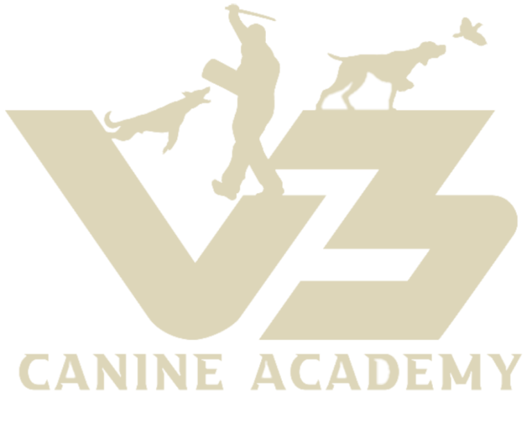 V3 Gun Dogs and Canine Academy - v3gundogs.com